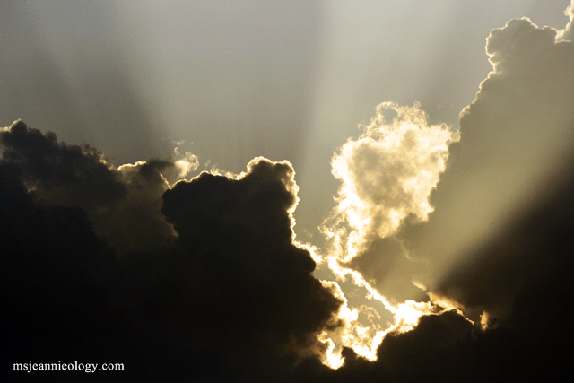 Summer in a Nutshell! – In the Vintage Kitchen: Where History Comes To Eat