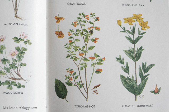 1948 – In the Vintage Kitchen: Where History Comes To Eat