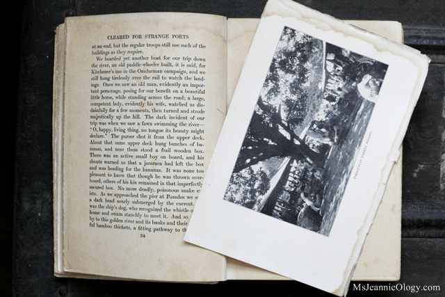 belle wyatt willard roosevelt – In the Vintage Kitchen: Where History ...