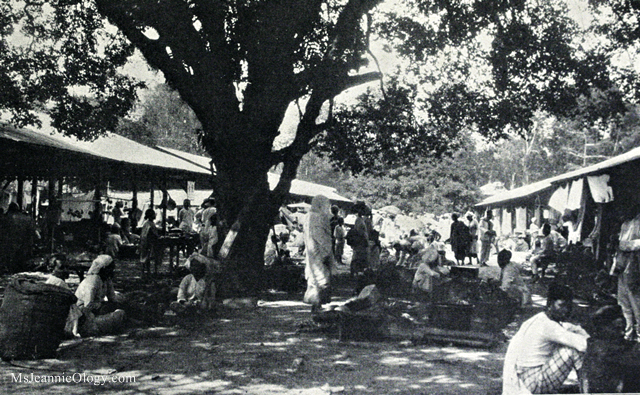 belle wyatt willard roosevelt – In the Vintage Kitchen: Where History ...