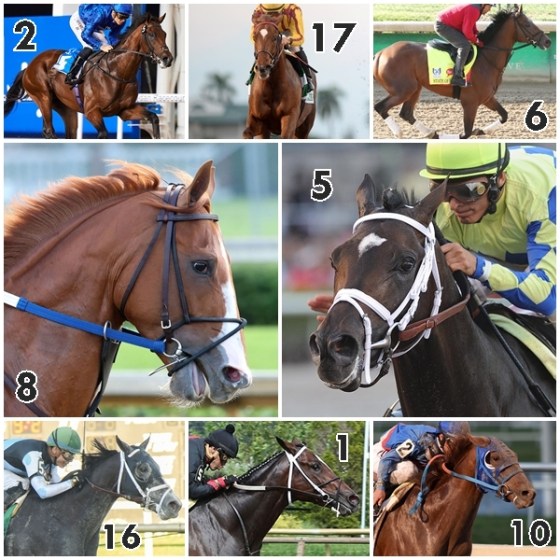 Two Races and How Many Winners? Derby Day Is Officially Here With A ...