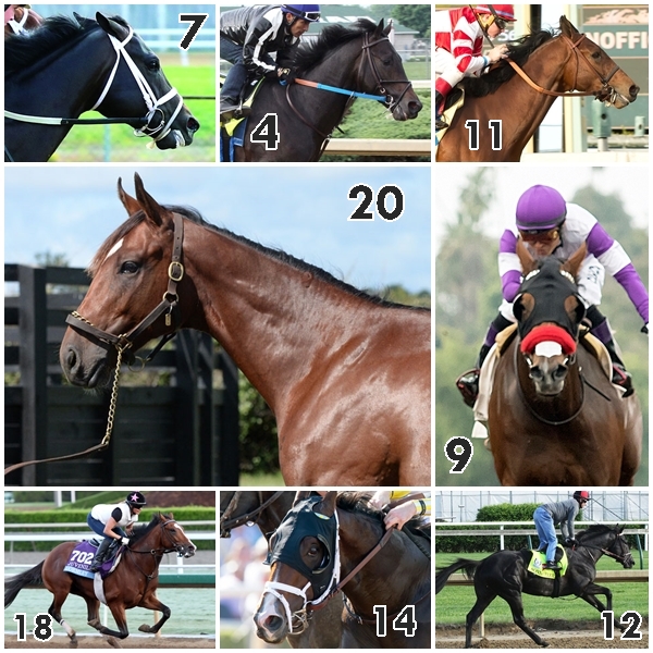 Two Races and How Many Winners? Derby Day Is Officially Here With A ...