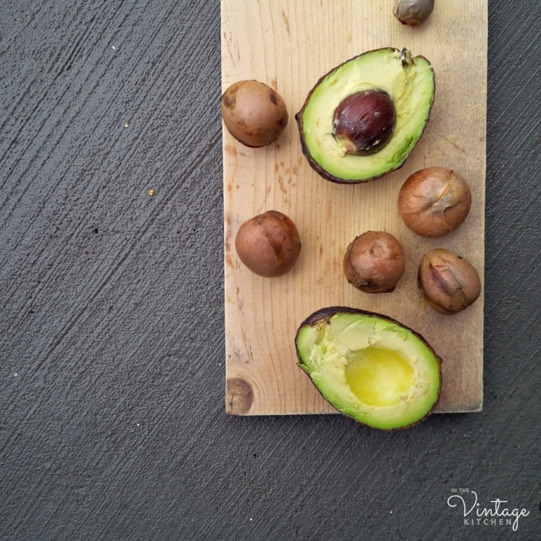 Update From the Urban Jungle: Where’s Avi the Avocado Tree Now? – In ...