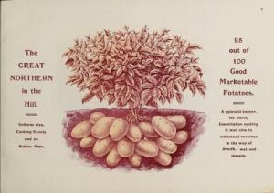 Luther Burbank, The Reliable Russet and Everyone’s Favorite Way to Eat ...