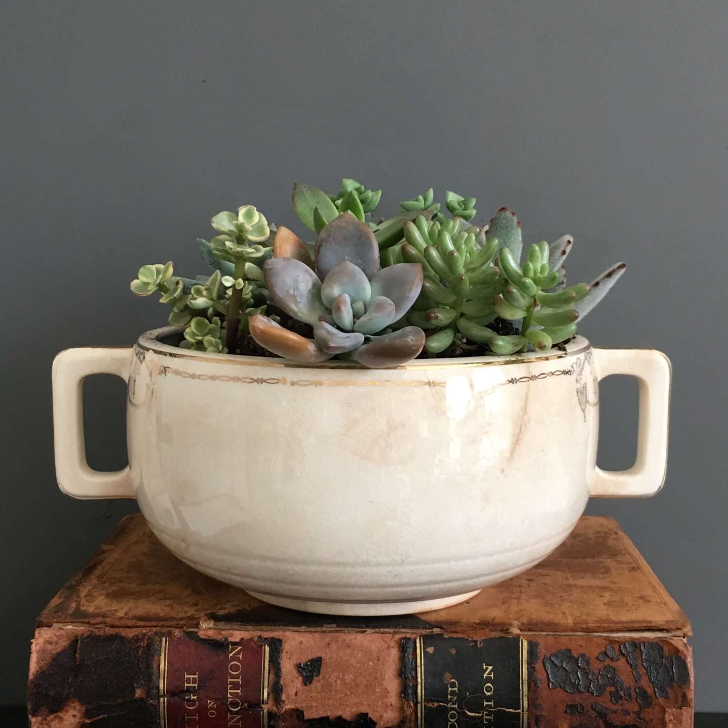 Turning Servers into Succulents: A Vintage Re-Invention – In the ...