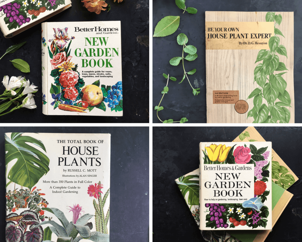 The Indoor Urban Orchard: What’s Growing Now? – In the Vintage Kitchen ...