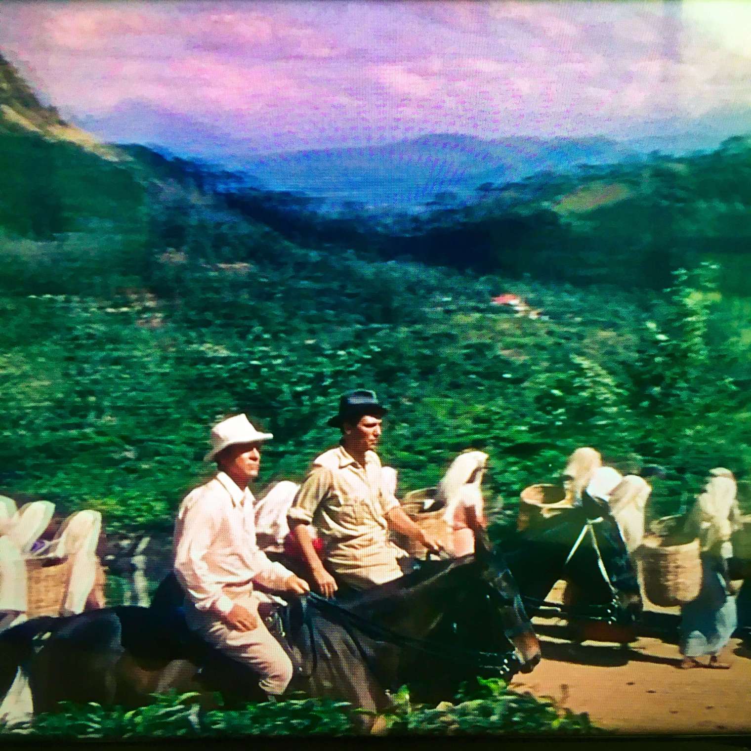 Eating with Elephants & Elizabeth Taylor: It’s Dinner and a Movie Night ...