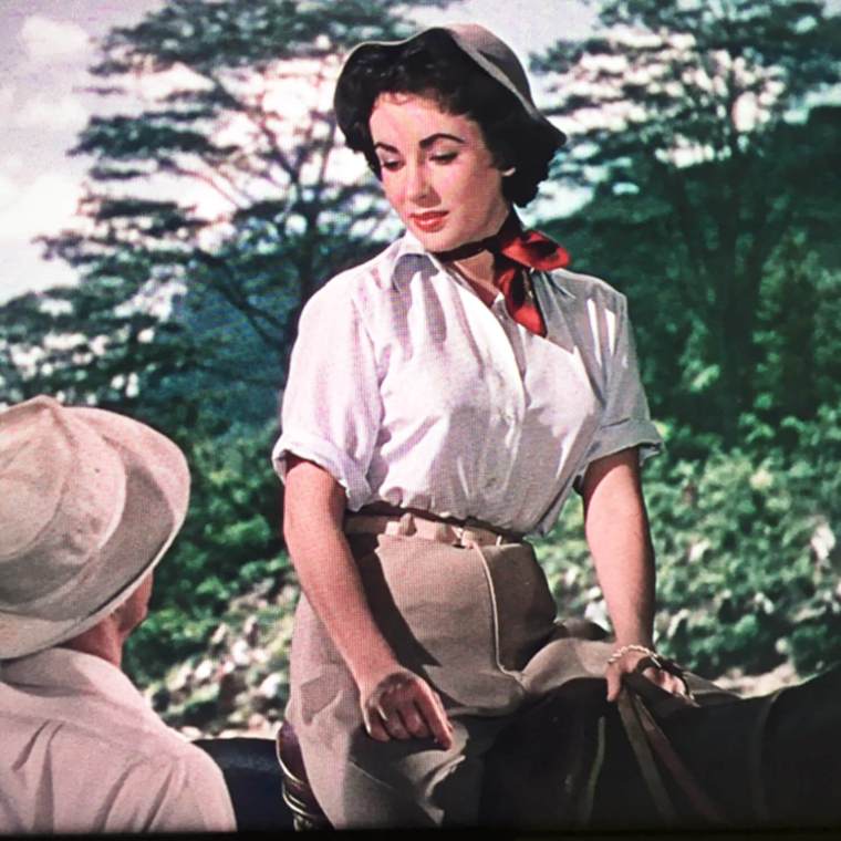 Eating with Elephants & Elizabeth Taylor: It’s Dinner and a Movie Night ...