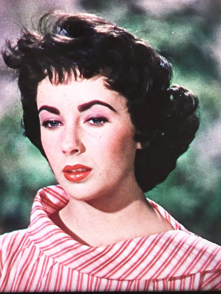 Eating with Elephants & Elizabeth Taylor: It’s Dinner and a Movie Night ...