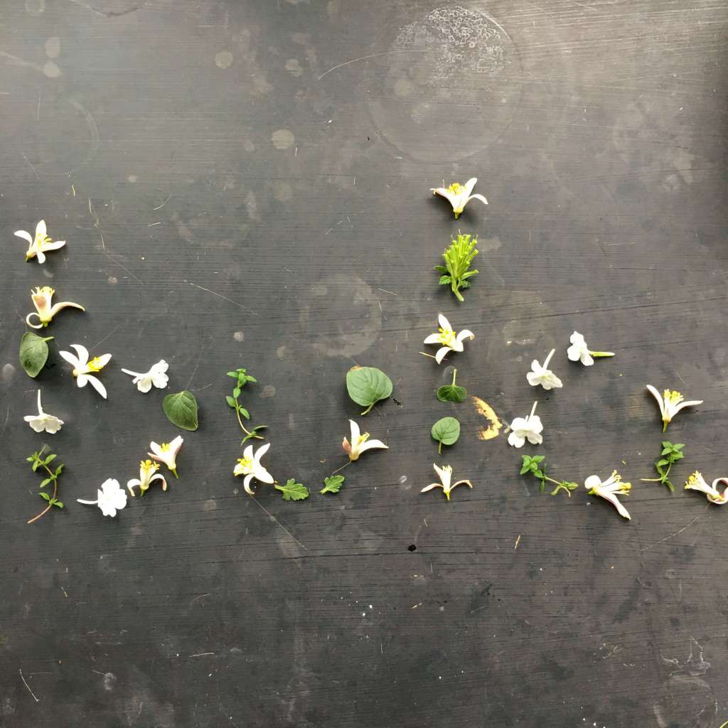 Embrace Your Inner Bula: You’re On Fiji Time This Week! – In the ...