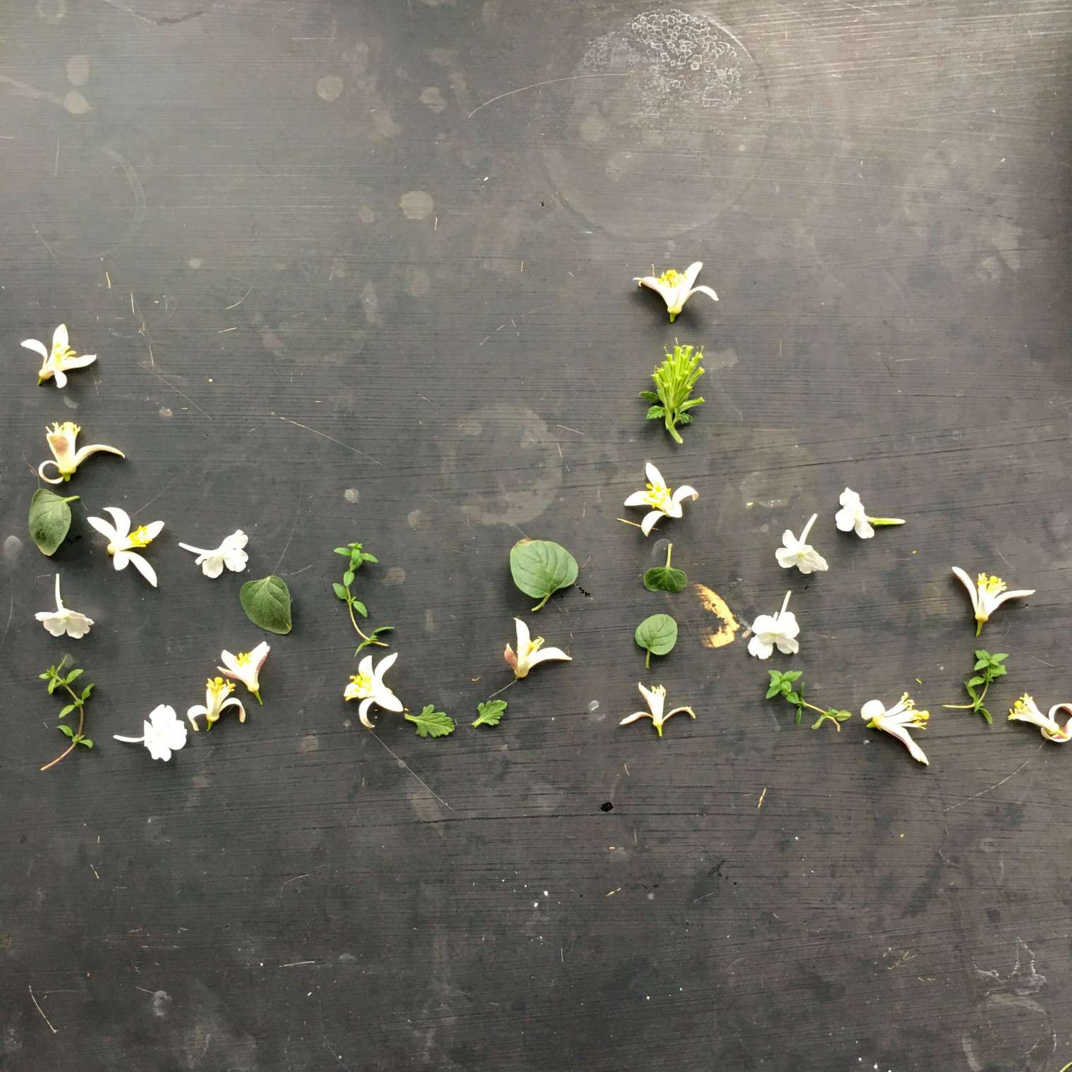 Embrace Your Inner Bula: You’re On Fiji Time This Week! – In the ...