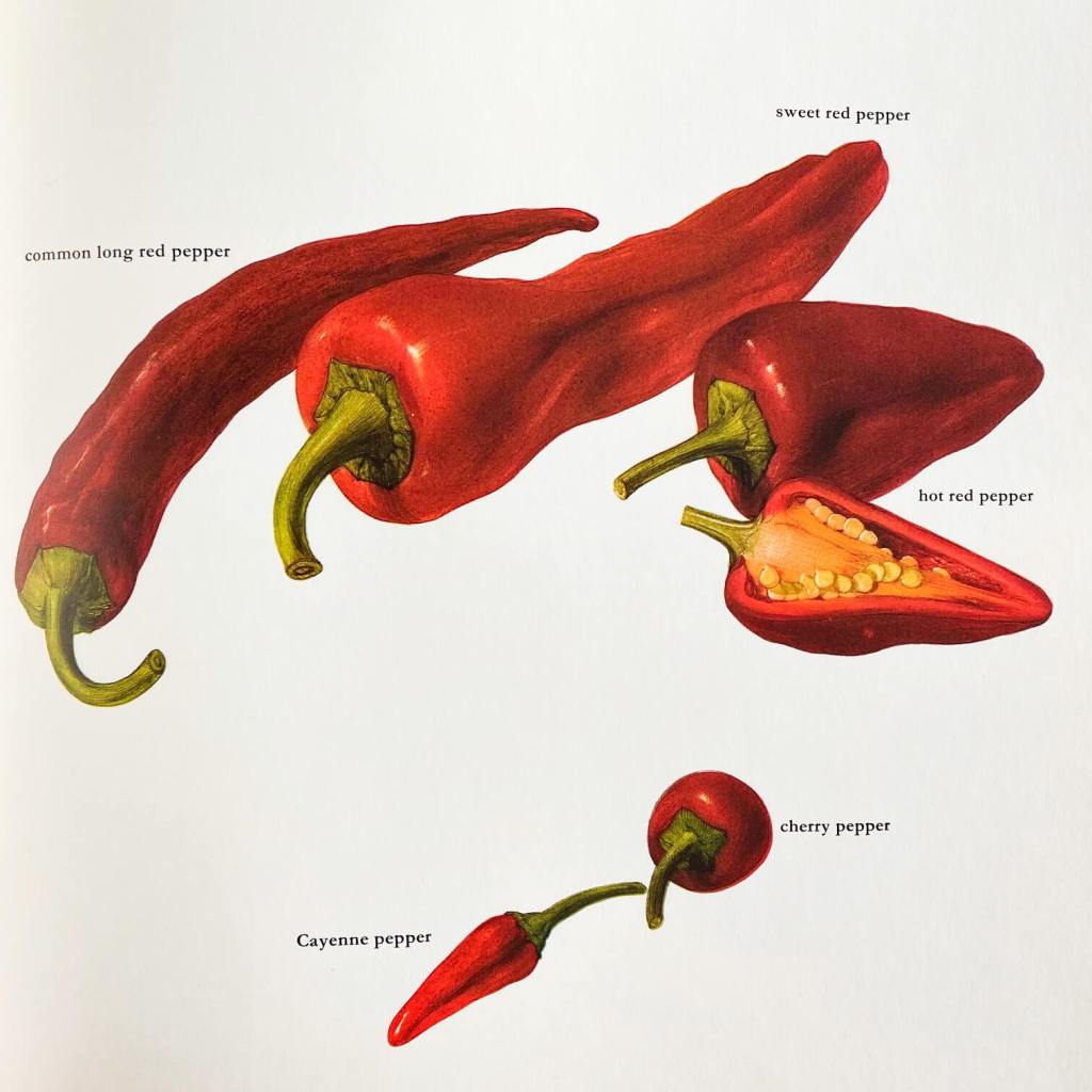 Hungry for Hungary: The Red Carpet That Leads to A Recipe – In the ...