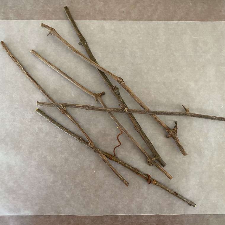 Dinner & Dessert Under the Stars of Israel: Two Vintage Recipes and A ...