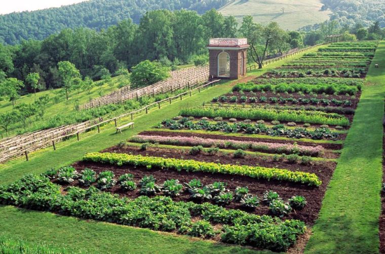 The Colonial Kitchen Garden Then and Now – In the Vintage Kitchen ...