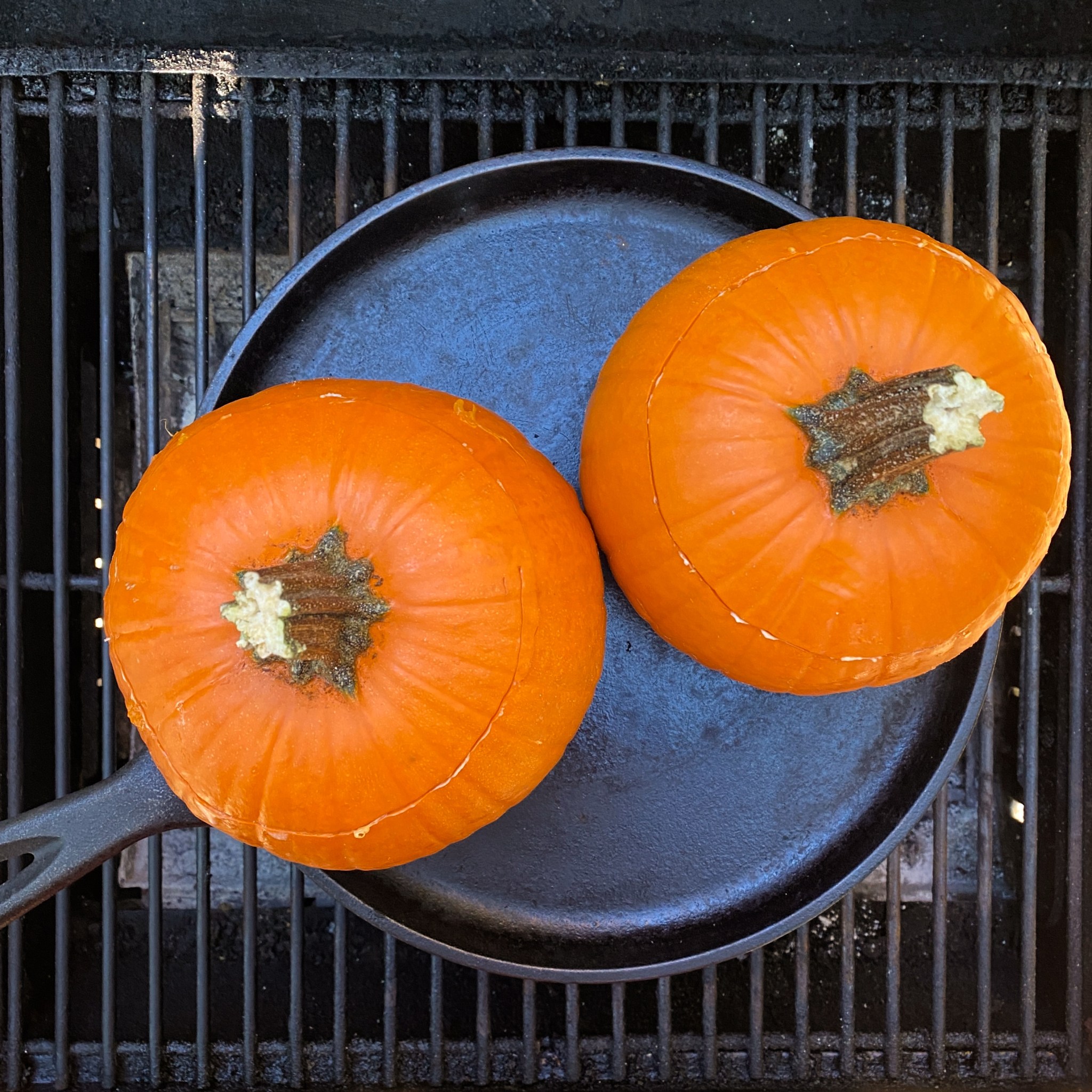 On the Grill in Autumn: Julia Child’s Soup in a Pumpkin – In the ...