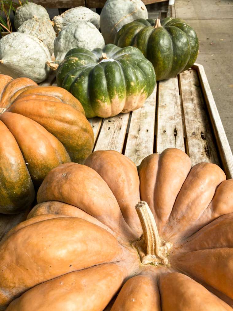 On the Grill in Autumn: Julia Child’s Soup in a Pumpkin – In the ...