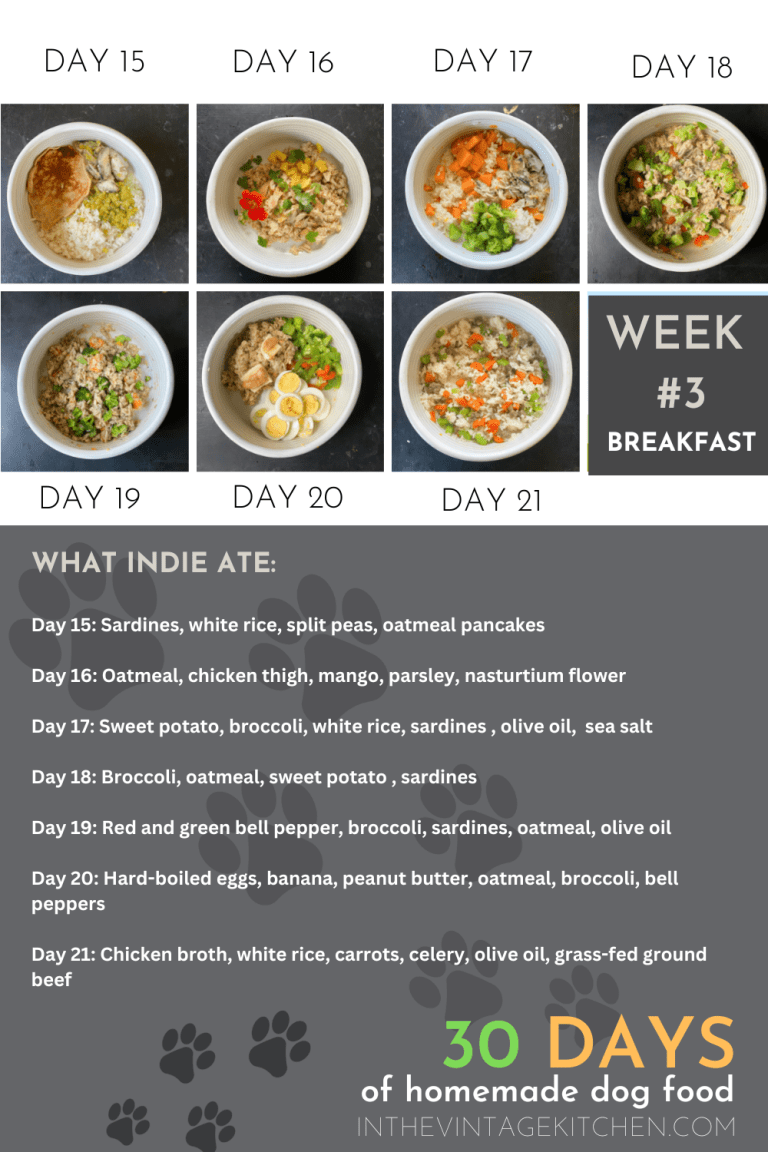 Breakfast with Indie: 30 Days of Homemade Dog Food – In the Vintage ...