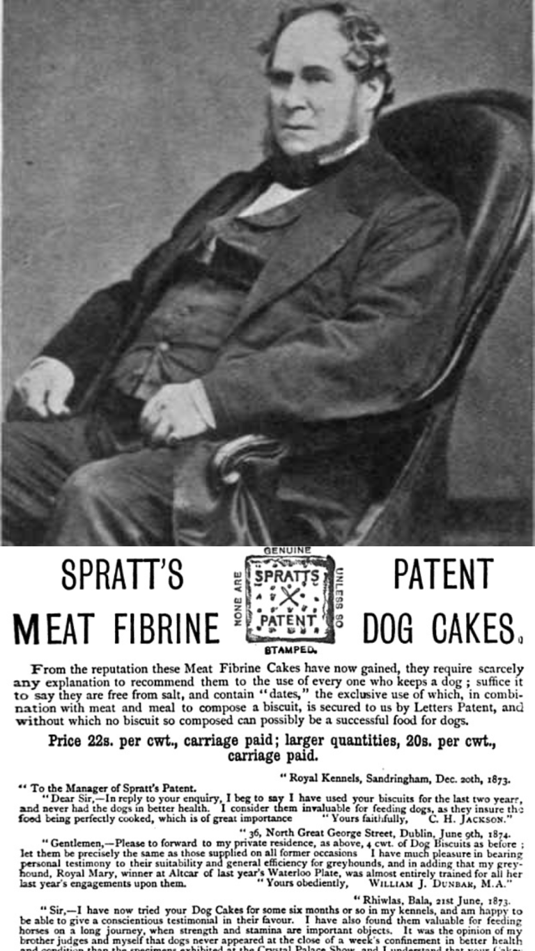 Breakfast with Indie: 30 Days of Homemade Dog Food – In the Vintage ...