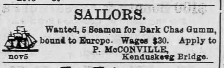 On This Day in 1861: Brooklyn Want Ads, Hot Grog and A Sailor’s Time ...