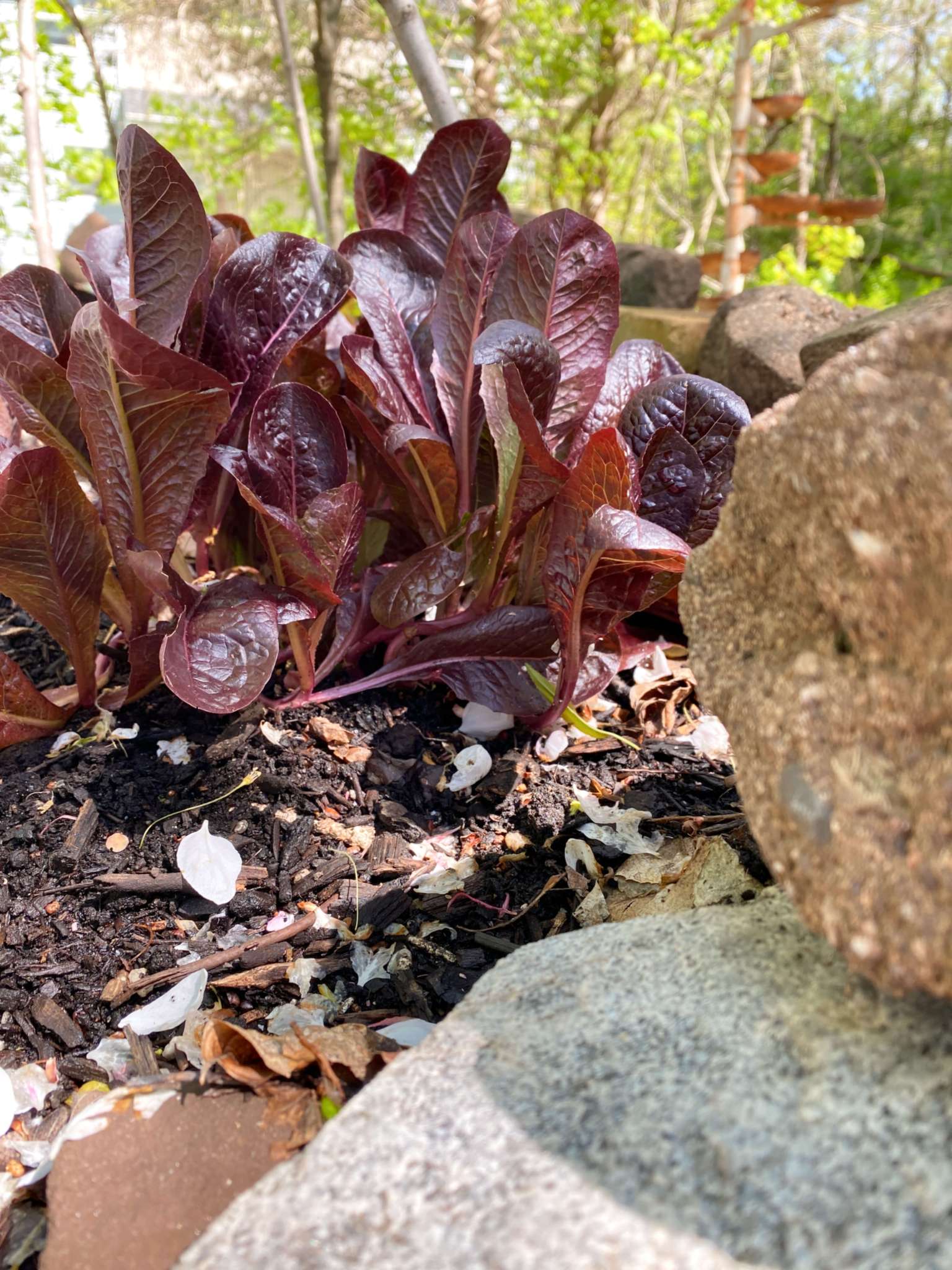 18th century architecture – In the Vintage Kitchen: Where History Comes ...