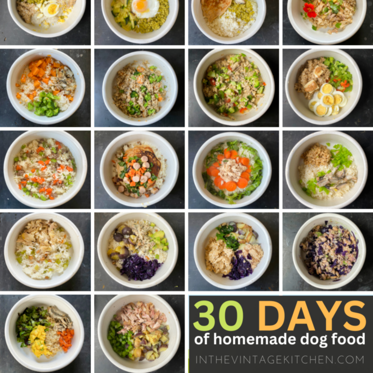 A One-Pot Recipe for Your Pup: Homemade Dog Food Back by Reader Request ...