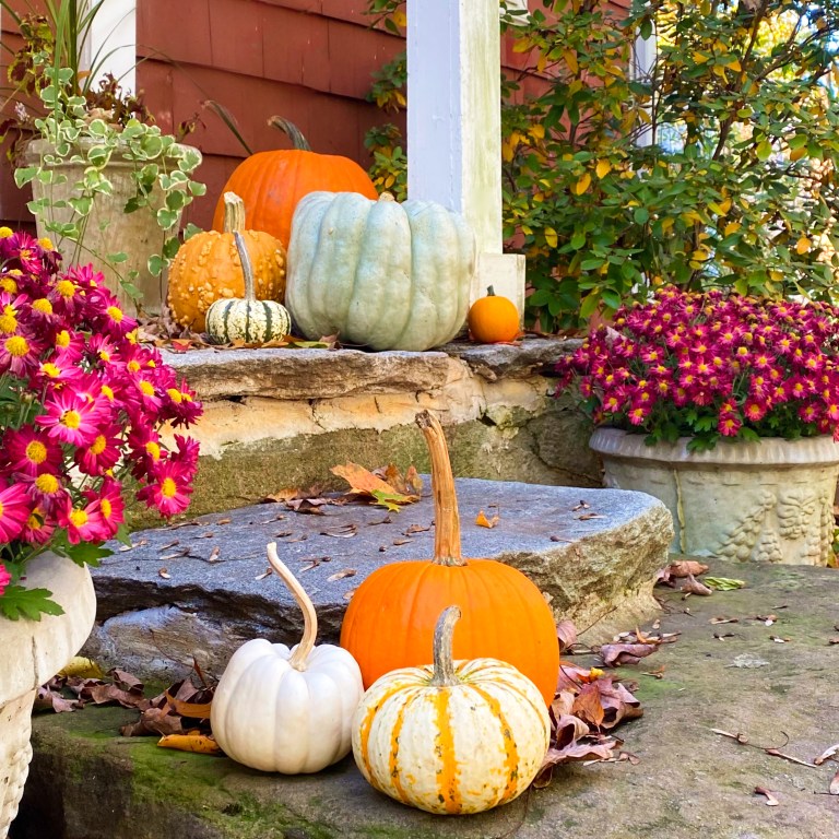 Calling All Souls: Our Annual 40% off Sale is Almost Here! – In the ...