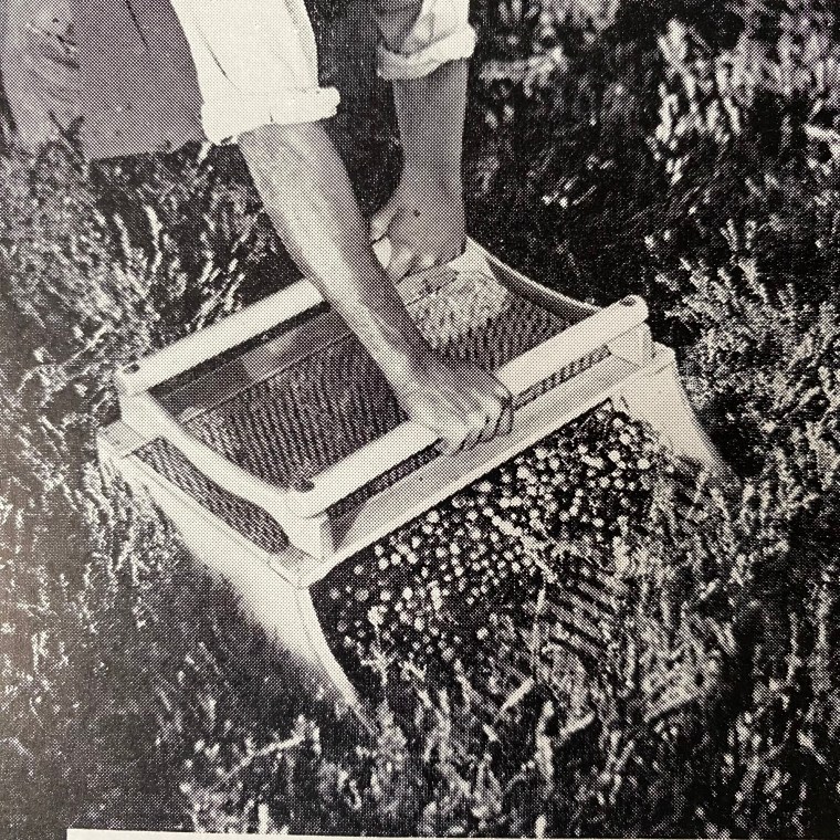 Holiday Classics: A Vintage Cranberry Relish Recipe from Historic ...