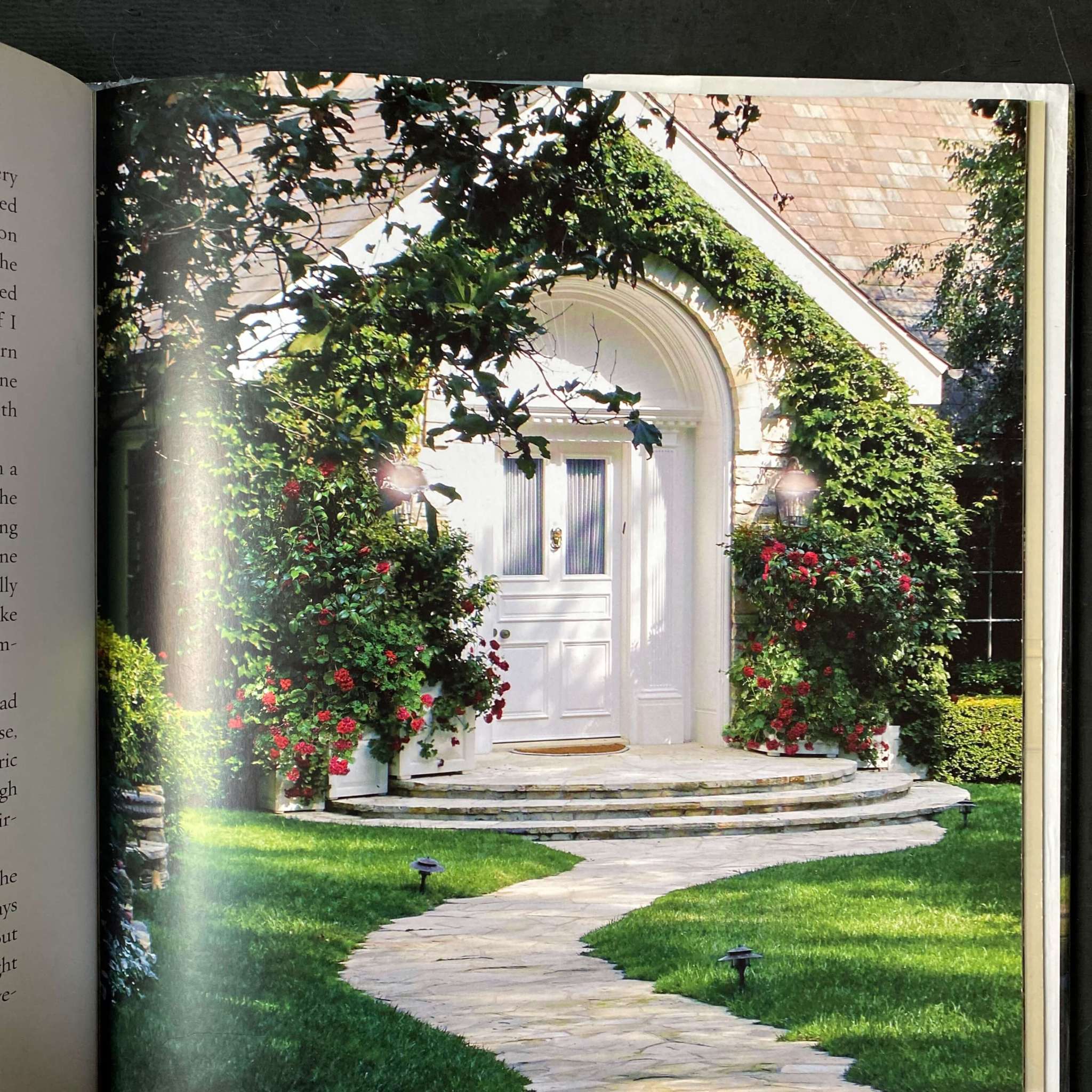 Reading While Eating: Seven Favorite Books Discovered in 2023 – In the ...