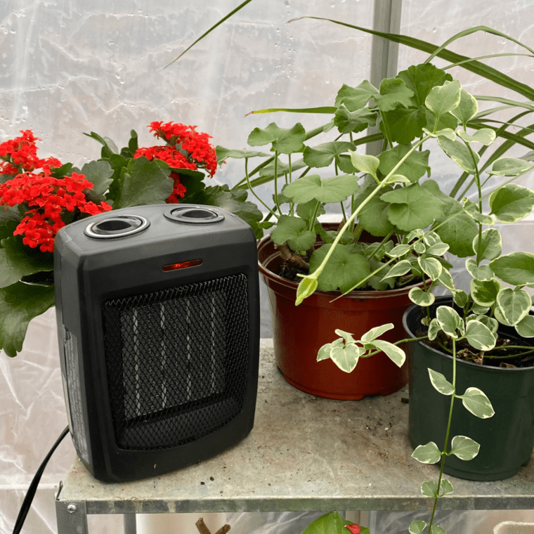 Welcome To A Fragrant Year: The Greenhouse Diaries Return for New ...