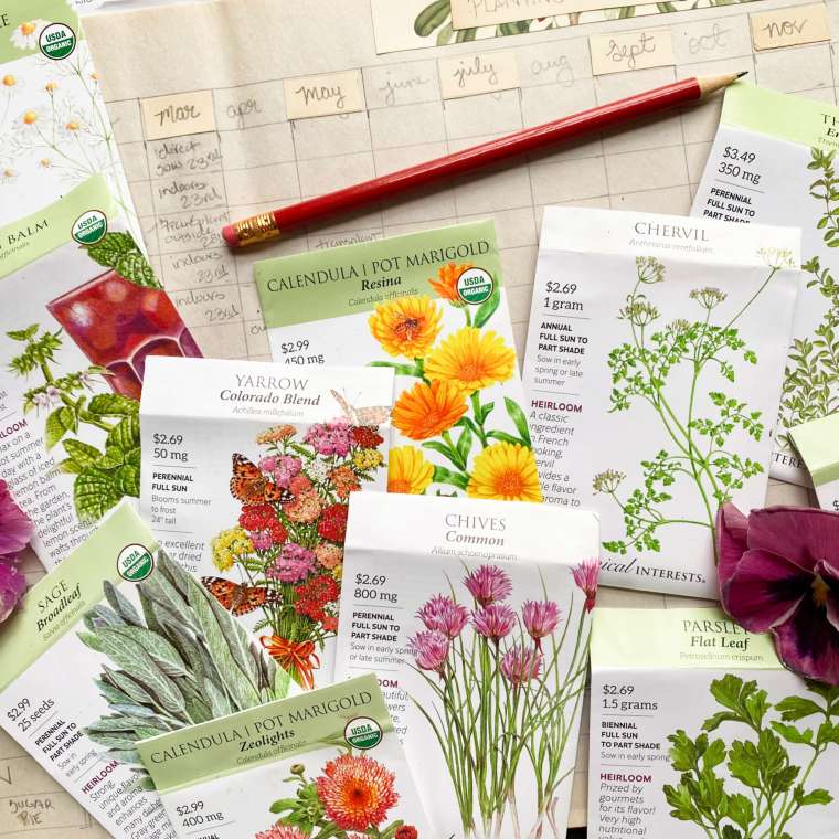 Advice from Adelma: How to Create an Herb Garden in Partial Shade – In ...